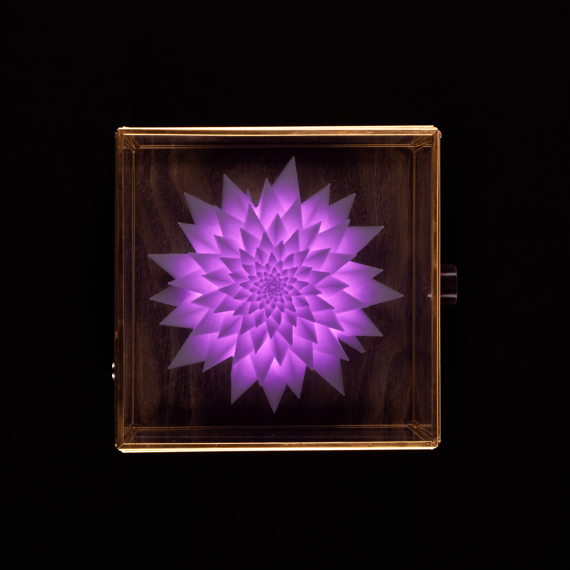 Strobe Dock ∞ Kit - Ebonized Ash | NovaTropes