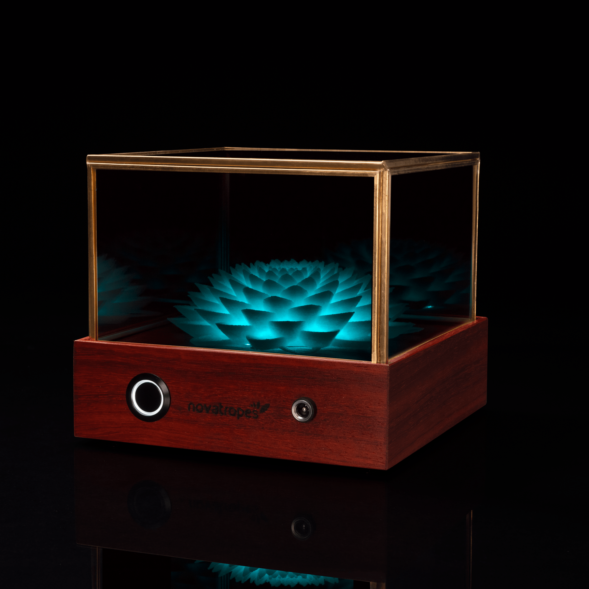 Strobe Dock ∞ Kit - Padauk | NovaTropes