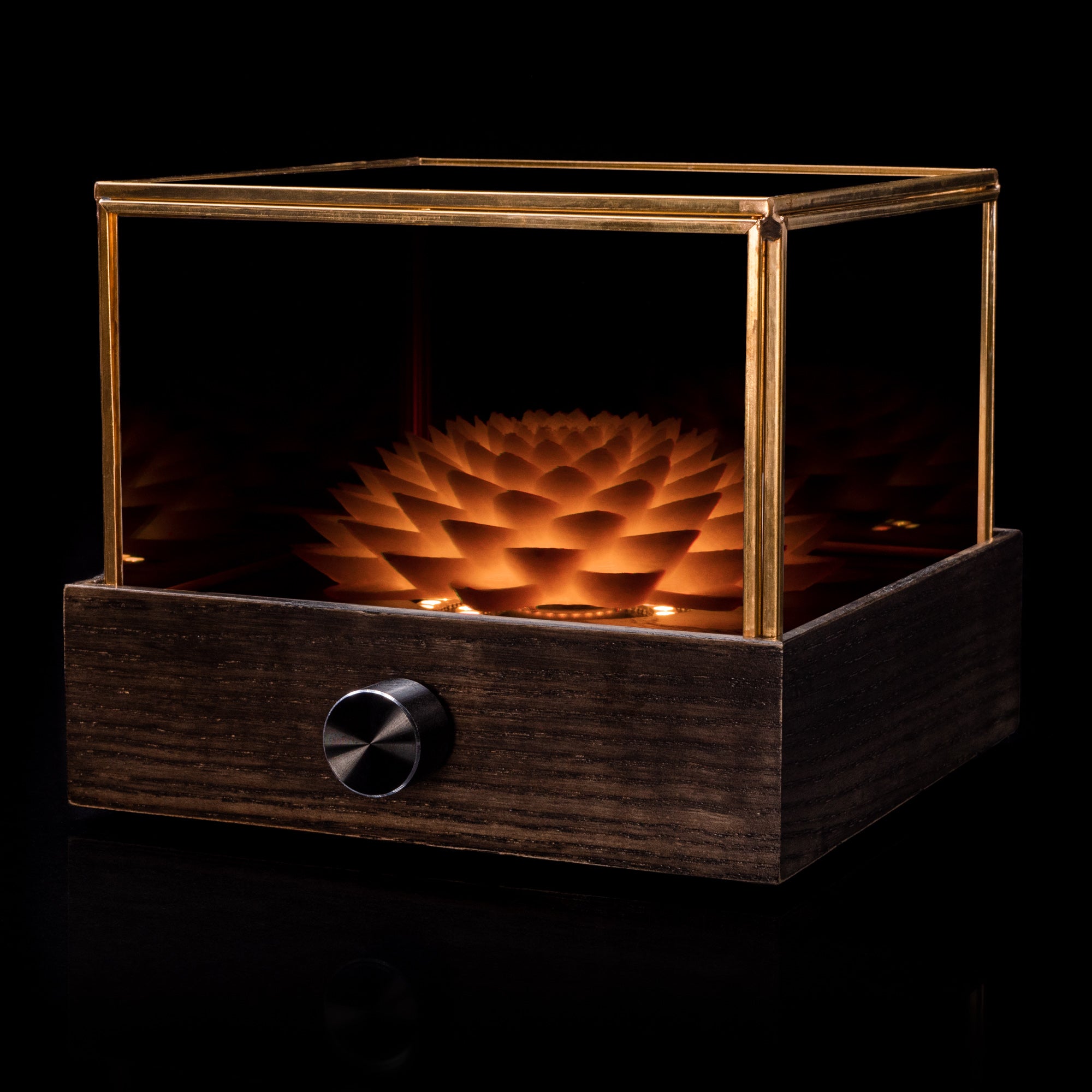 All Collection | NovaTropes